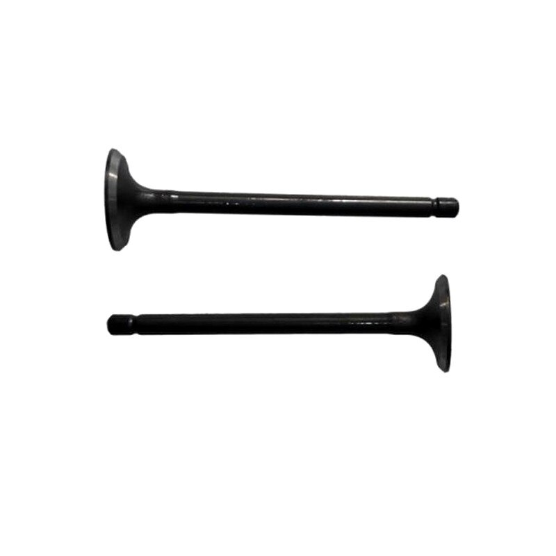 Intake Valve EQ474i.1007012 for DFSK Dongfeng Soko... – Vicedeal