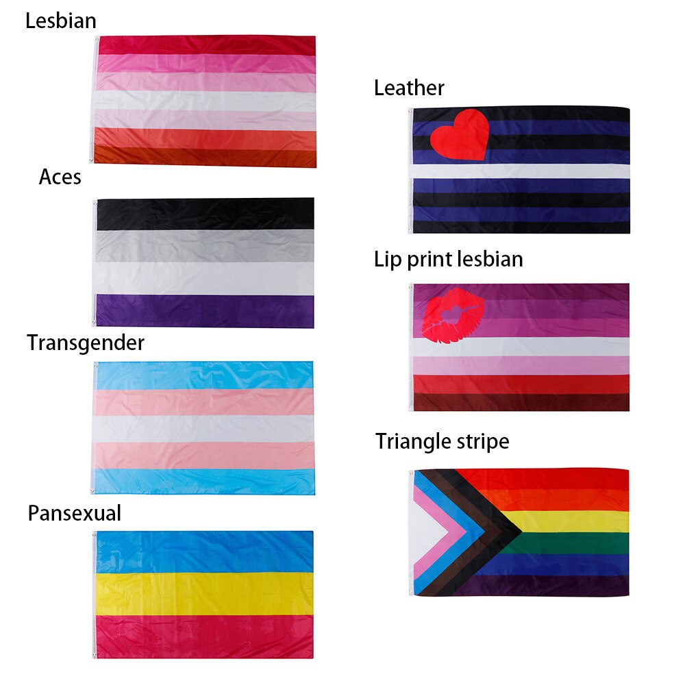 Progress Pride Rainbow Flag 3x5 ft LGBTQ Gay Lesbi... – Vicedeal