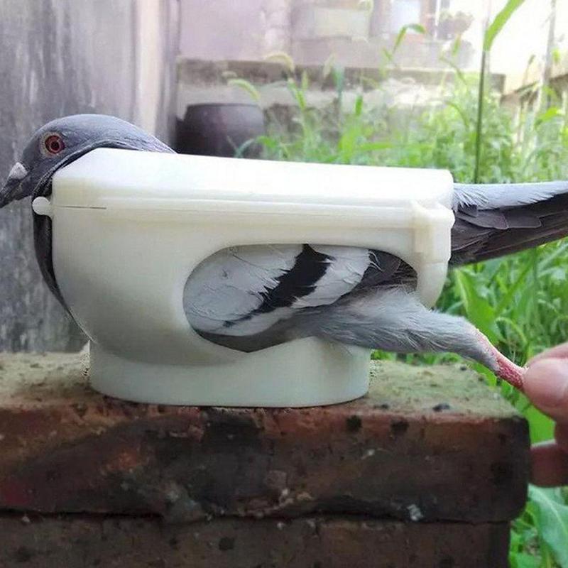 Plastic Postduif Houder Voor Injectie Voeden Vaste... – Grandado