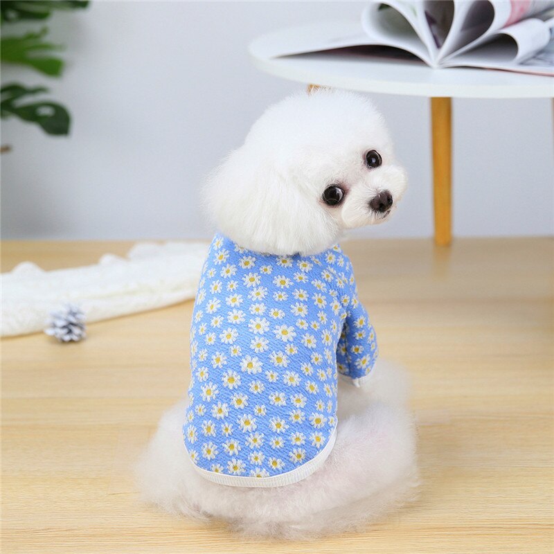Ropa para perros y gatos, Rebeca bonita con margar... – Grandado