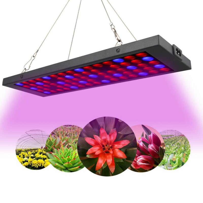 600W Led Plant Licht Groeien Lamp Volledige Spectr... – Grandado