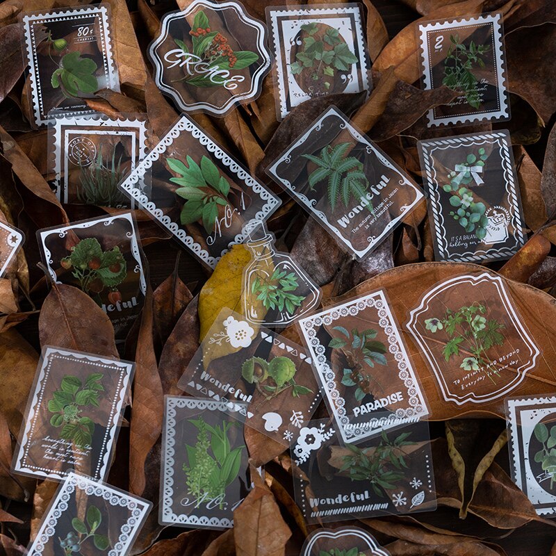 60 pcs Natural Plants Flower Stamp Decorative Stic... – Grandado