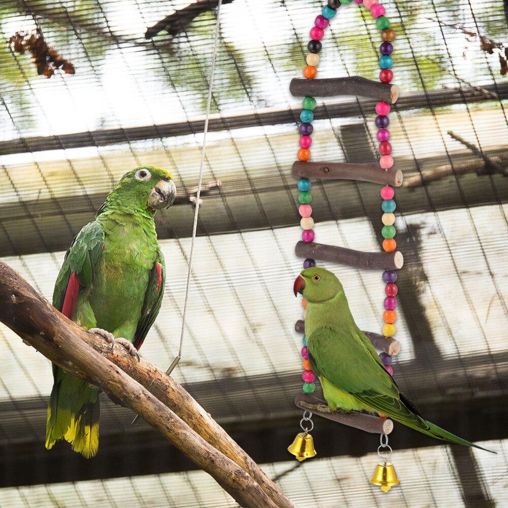 Parrot Ladder with Bells Parrot Perch Wood Stand P... – Grandado