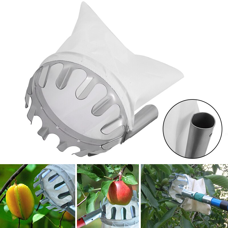 1Pcs Metal Fruit Picker Oranges Pears Apple Trees ... – Grandado