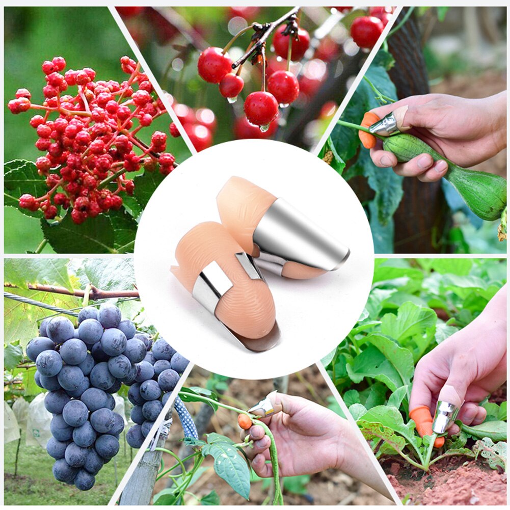 Portable Index Finger Cover Harvesting Plant Tools... – Grandado