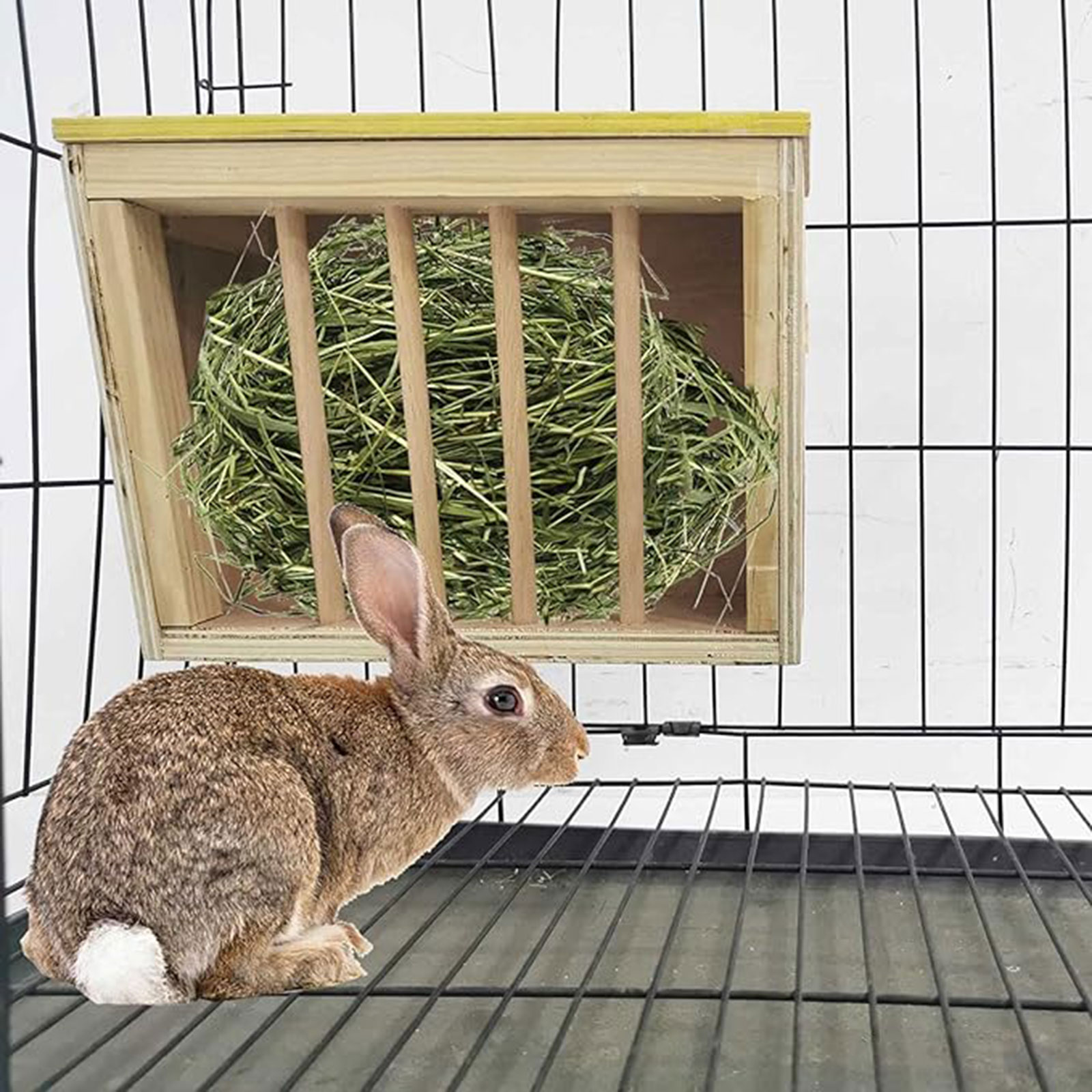 Bunny Hay Manger Feeder Hay Holder Wooden Rabbit H... – Grandado