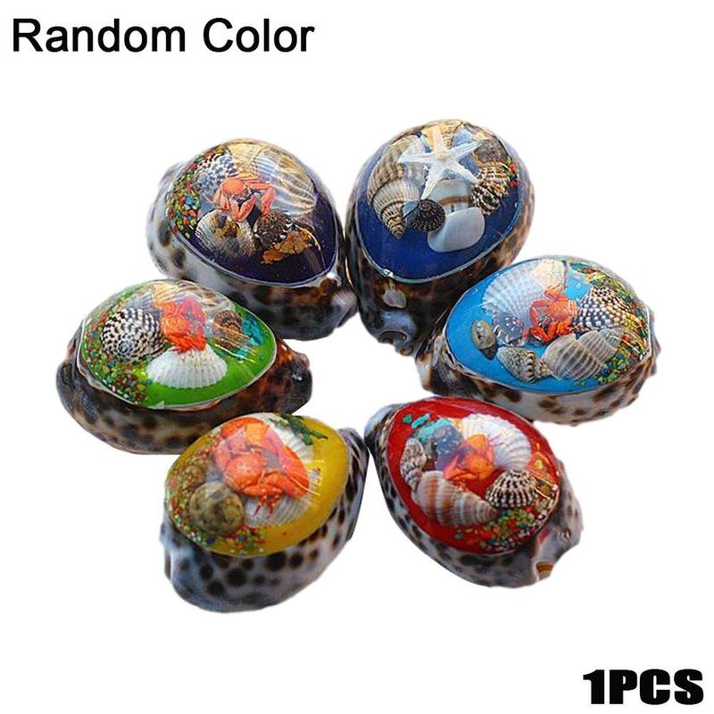 Concha de caracola Natural hecha a mano, , decorac... – Grandado