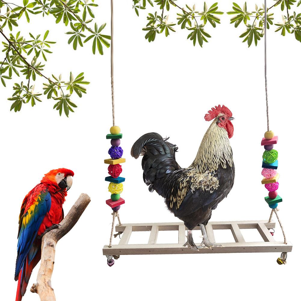Parrot Toy Chicken Swing Bird Perch Chicken Toy Pe... – Grandado