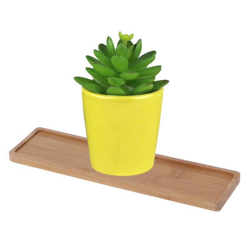 Rectangle Shape Bamboo Wood Saucer Plant Tray Mini... – Vicedeal
