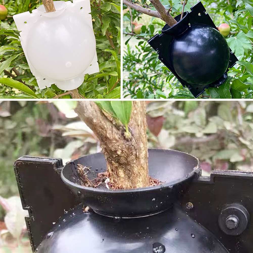 Plant Rooting Box 5PCS Air Layering Device Plant H... – Grandado