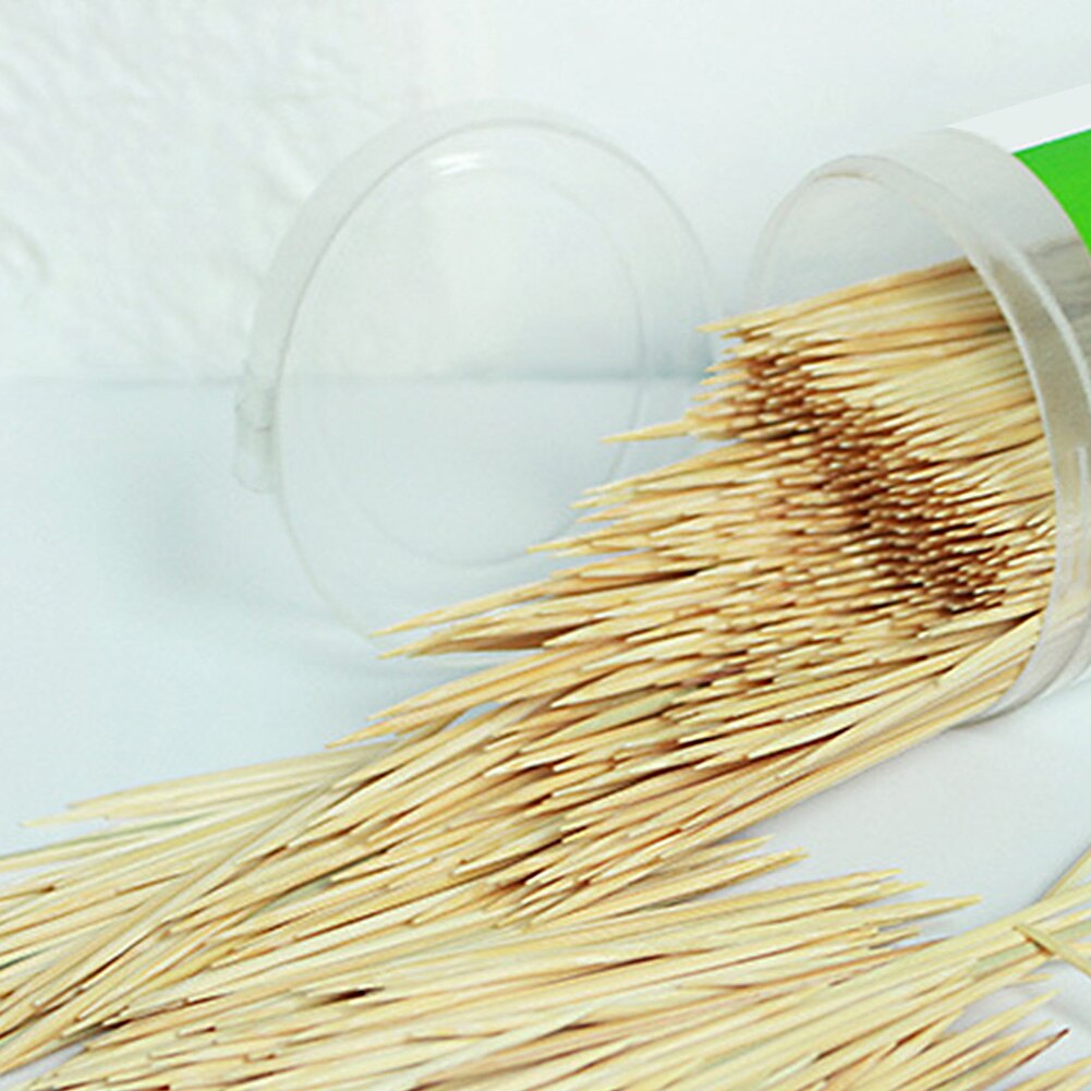 1000pcs Toothpick Diposable Plastic Storage Box Wo... – Grandado