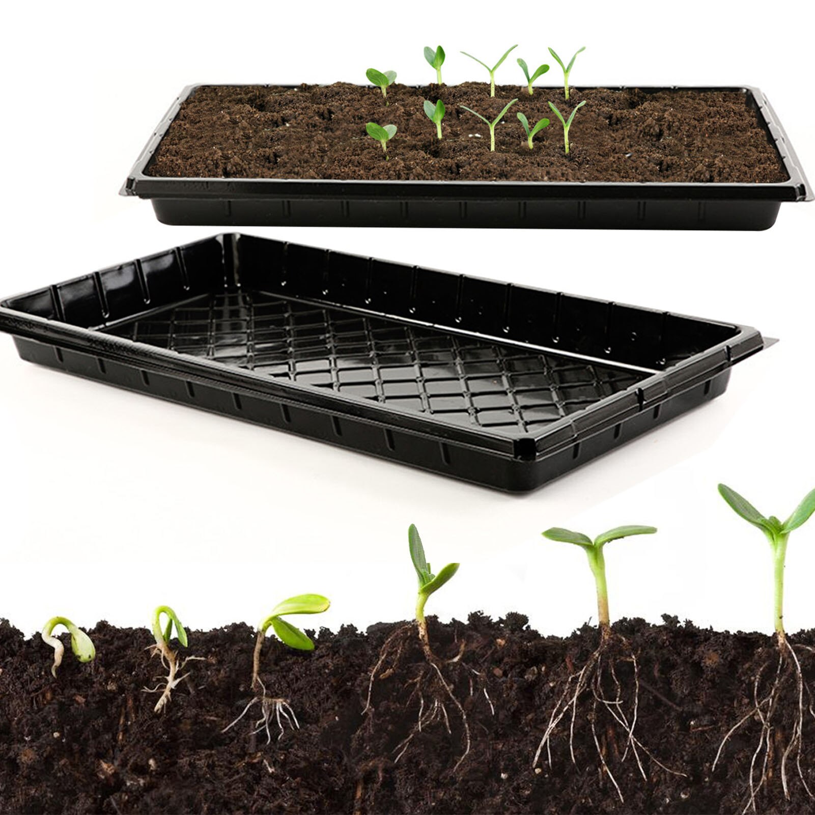 2/5/10pcs Plant Germination Tray No Drain Holes Pl... – Grandado
