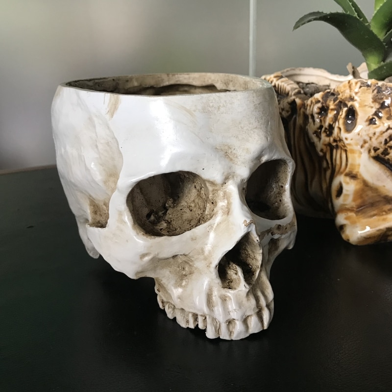 Skull Head Planters Pots Gothic White Human Skull ... – Grandado