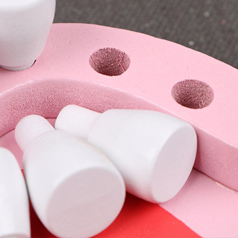 Wooden Role Play Dentist Doctor Dental Teeth Model... – Grandado