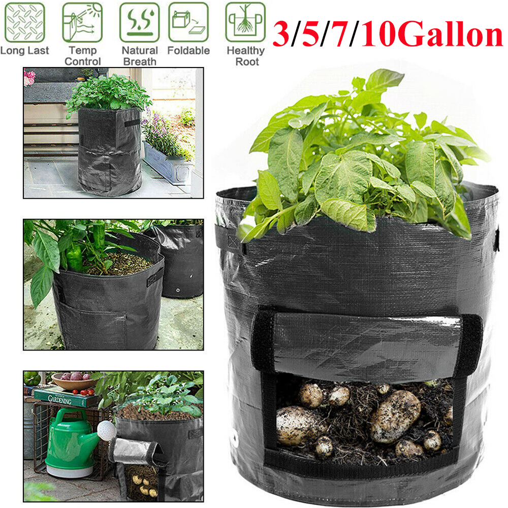 Plant Grow Bag Potato Garden Supplies Vegetable Po... – Grandado