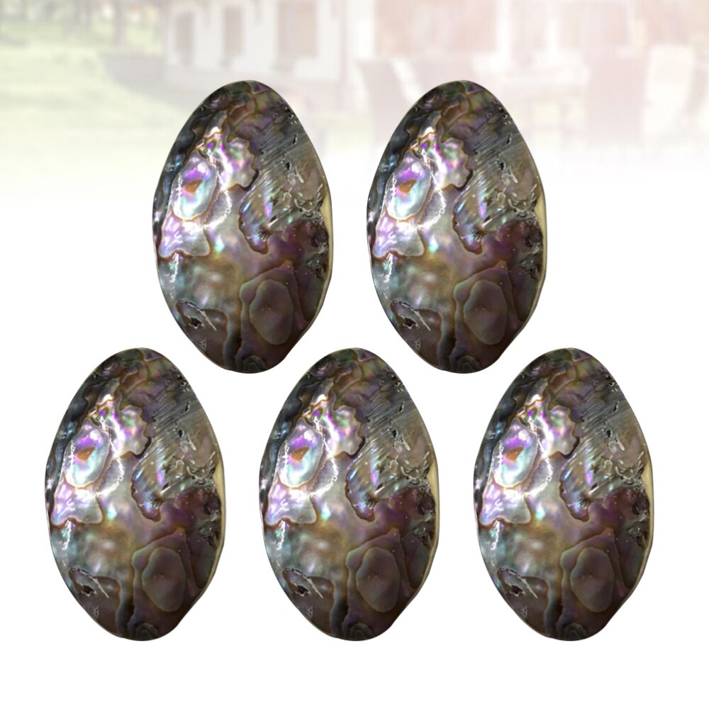 5pcs Abalone Shells DIY Hanging Pendant Home Decor... – Grandado