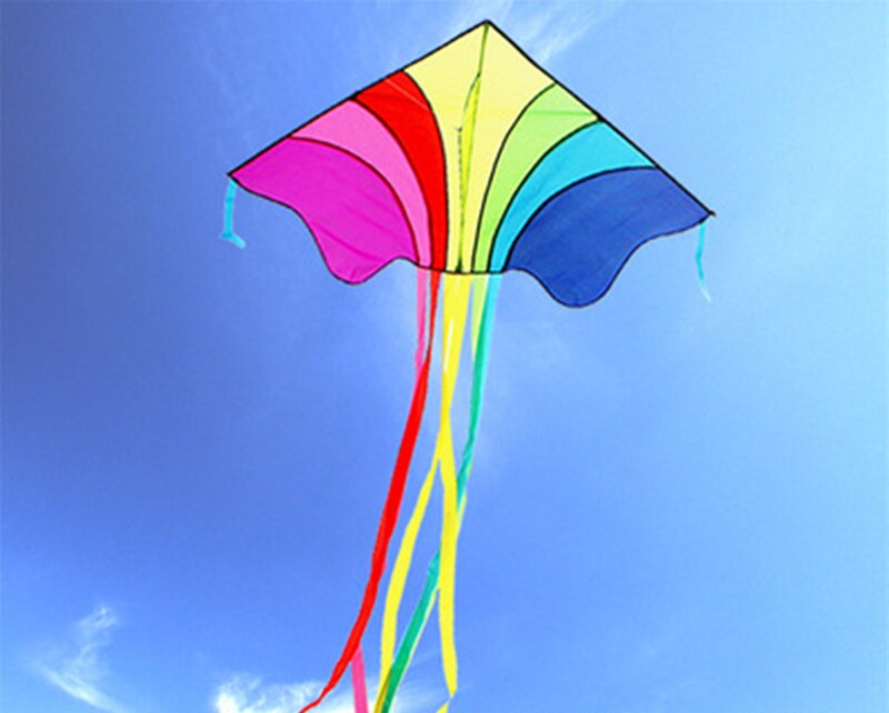 Colorful rainbow kite long tail nylon outdoor kite... – Grandado