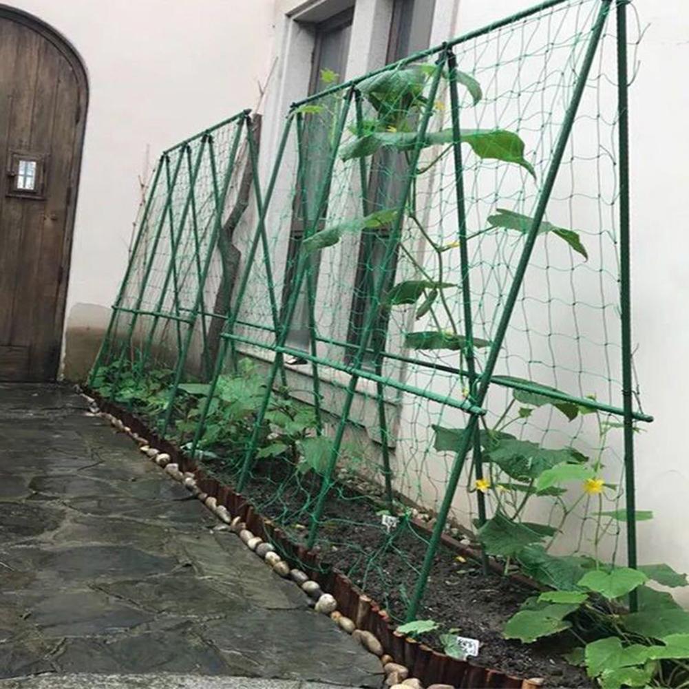 Durable Nylon Vegetables Grow Trellis Net multi-st... – Grandado