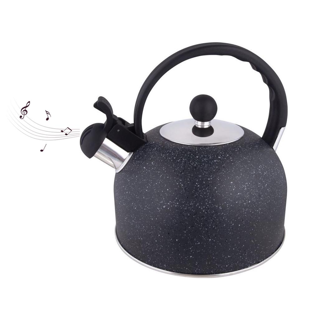 2.5L Matte Whistling Kettle For Gas Stove All Stov... – Vicedeal