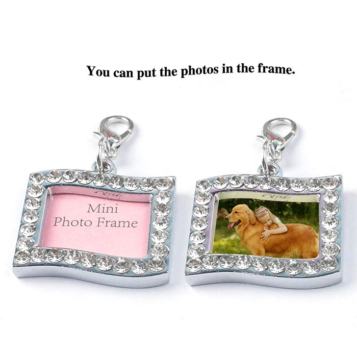 Mini Dog ID tag Mini Pet Dog Cat Puppy Name Tag Ra... – Grandado