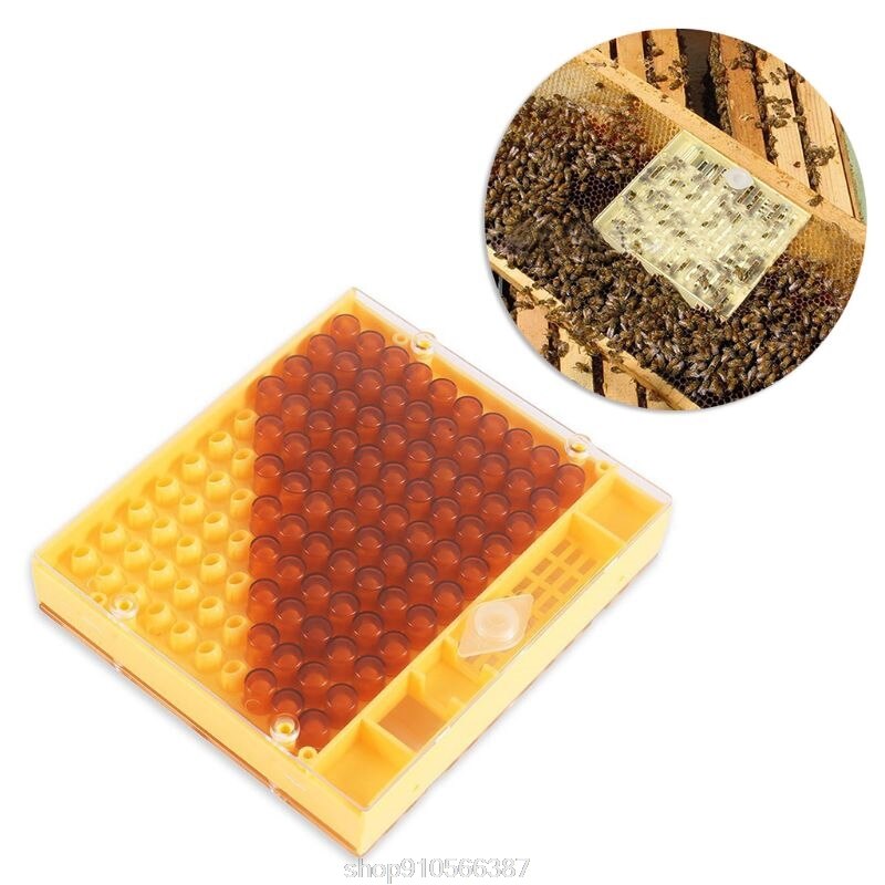 Beekeeping Bee Queen Rearing Cell Box Plastic Hone... – Grandado