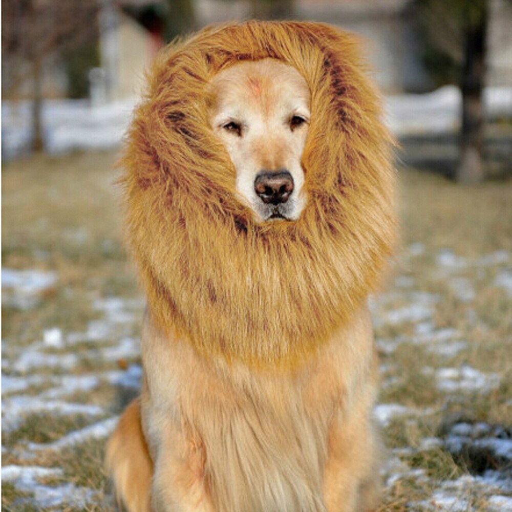 1 Pcs Bruin Leeuw Pruik Kat Kostuums Hond Leeuw Pr... – Vicedeal