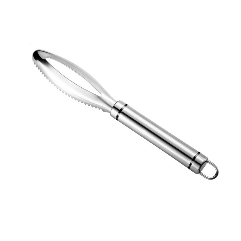 Stainless Steel Fish Scaler Remover Planer Scraper... – Grandado