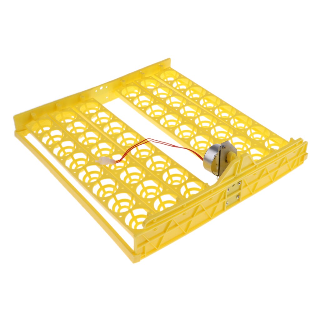 110V 48-digital Auto Egg Turner Tray Egg Incubator... – Grandado