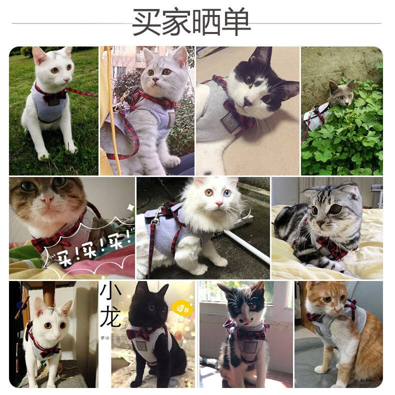 4 Colors Pet Cat Harness with Leash Rope with Bowt... – Grandado