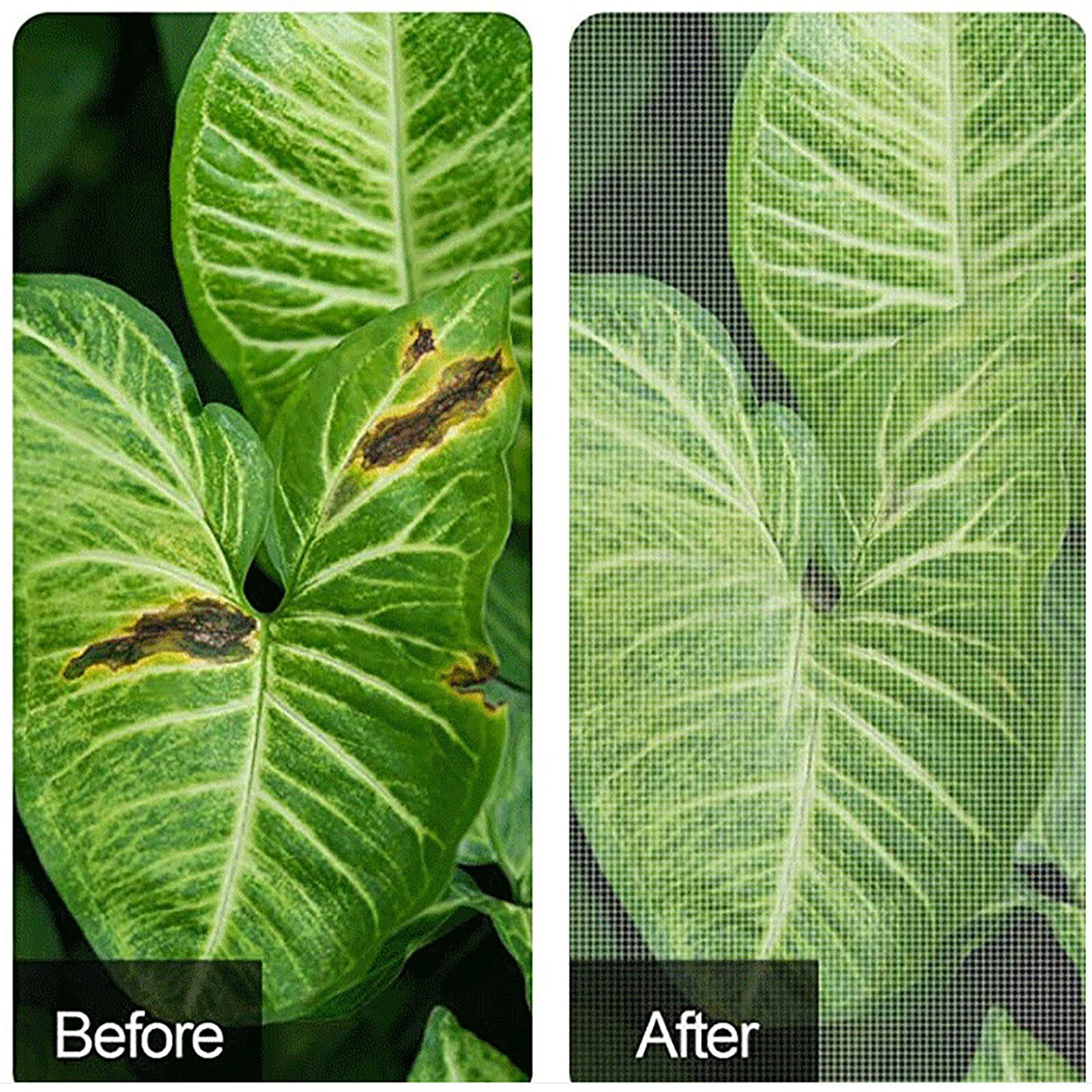 25 # Tuin Netting Tuin Bug Netto Insect Barrière N... – Vicedeal