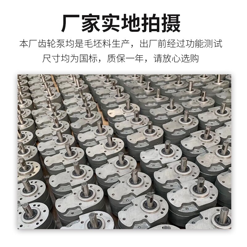 Hydraulische Smering Gear Oliepomp CB-B6 B10 B4 B2... – Grandado