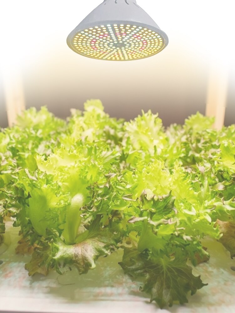 The Fluorescent Lamp LED Growth Bulb 600W LED Plan... – Vicedeal