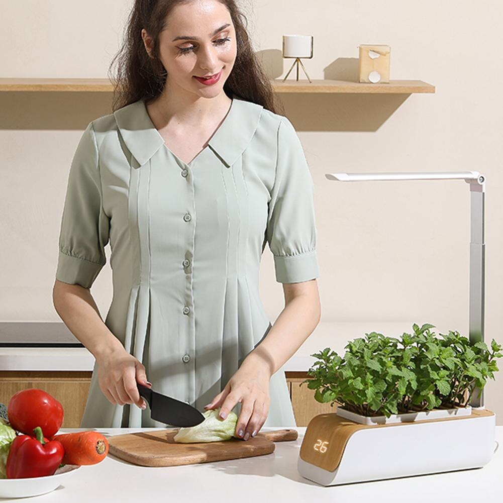 Smart Automatic Hydroponics Growing System Soilles... – Vicedeal