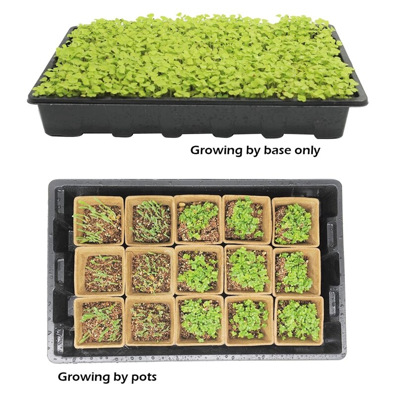 Seed Starter Kit for Seedlings Seed Starter Tray, ... – Grandado