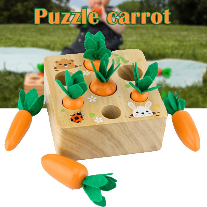 Wooden Carrot Game Sorting Toy with 7 Carrot Sizes... – Vicedeal