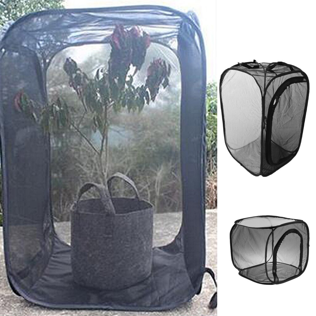 Collapsible Insect and Butterfly Habitat Net -up B... – Grandado