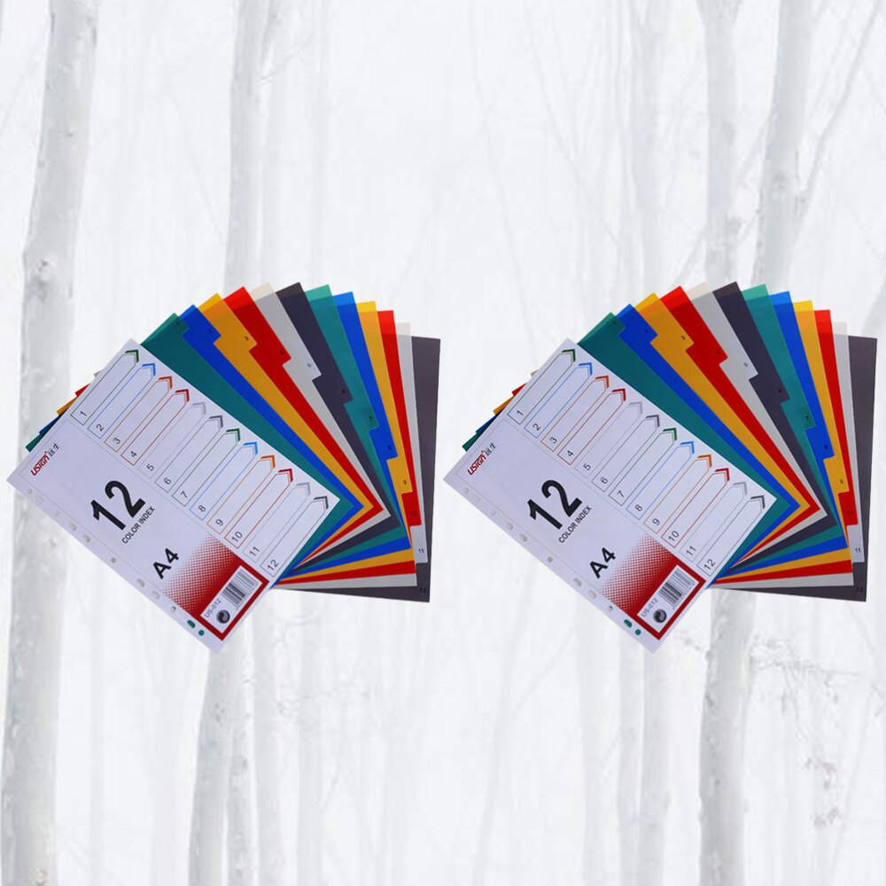 2Pcs Page Divider Colorful Classification Page Tab... – Vicedeal