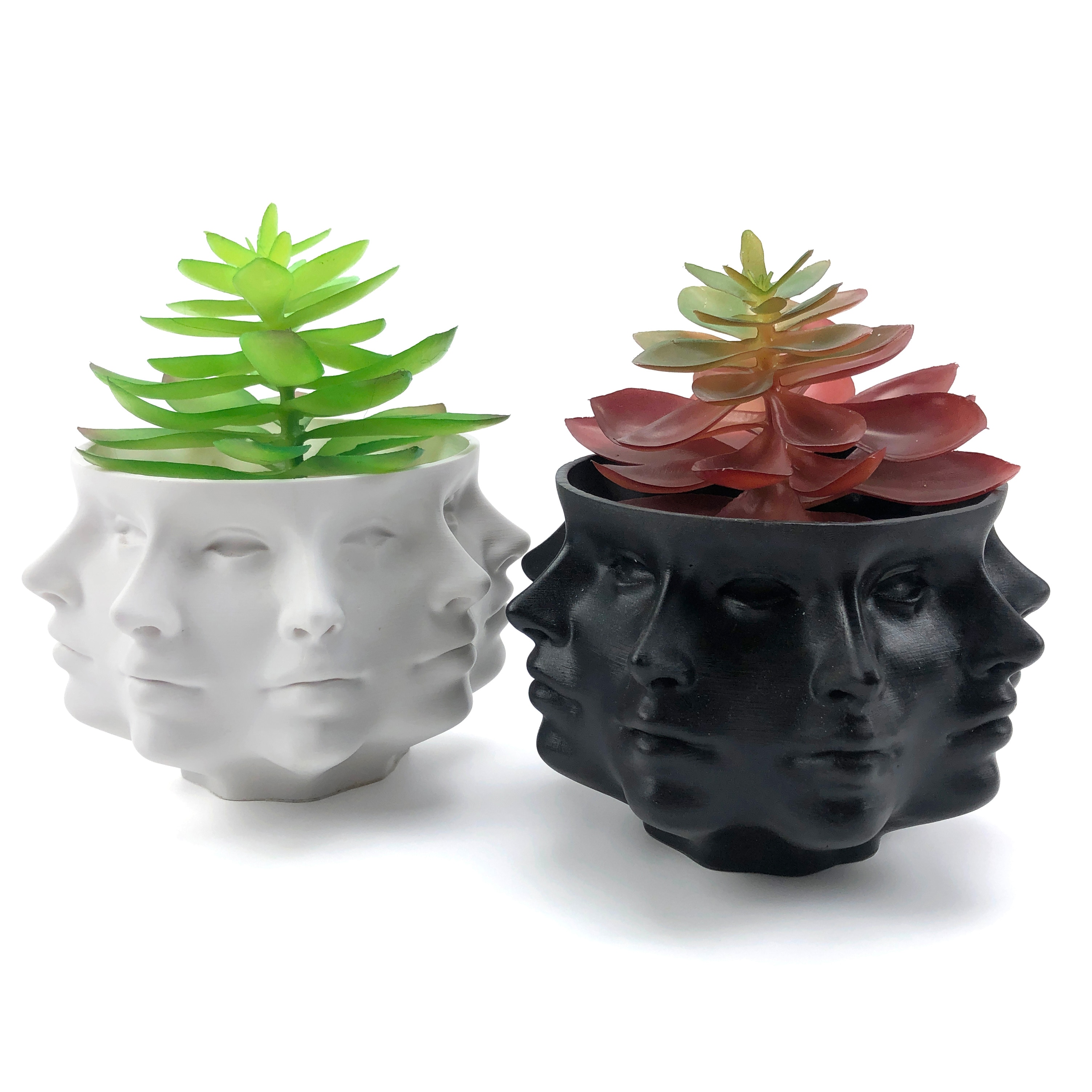 Multi-Face Succulent Planter Vase Small Face Plant... – Vicedeal