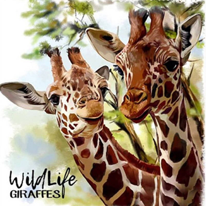 -Diy 5D Diamond Painting Embroidered Floral Animal... – Grandado