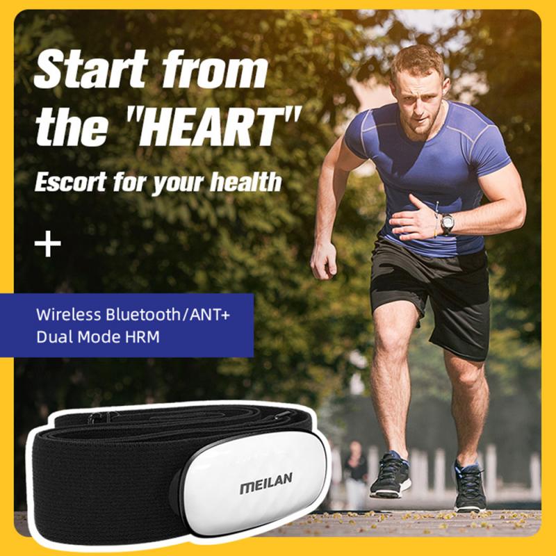C5 Wireless Bluetooth Sports Heart Rate Monitor He... – Vicedeal