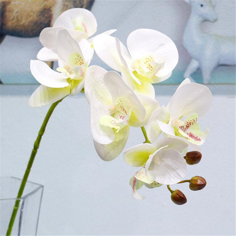 One Real Touch Butterfly Orchid Flower 6 Heads Mot... – Grandado