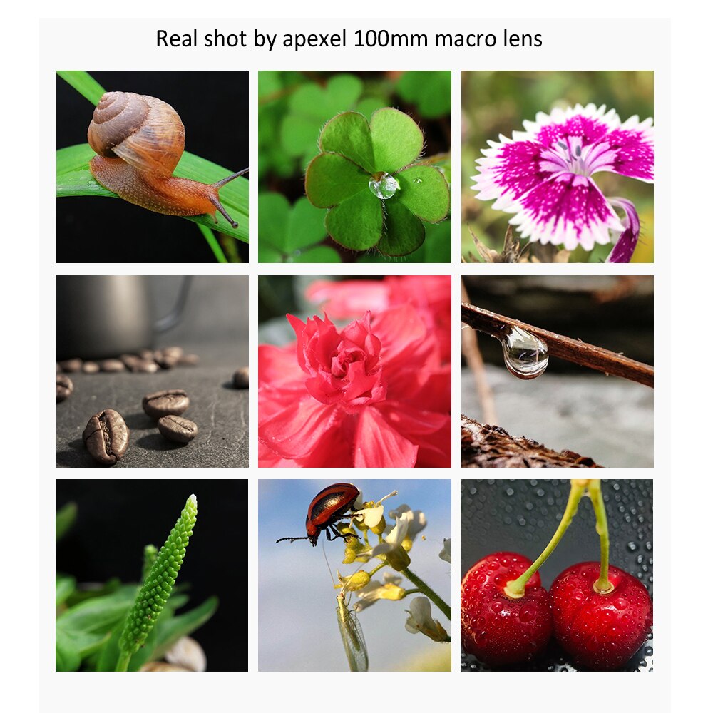 APEXEL HD 100mm macro lens Photography 10x Super M... – Vicedeal