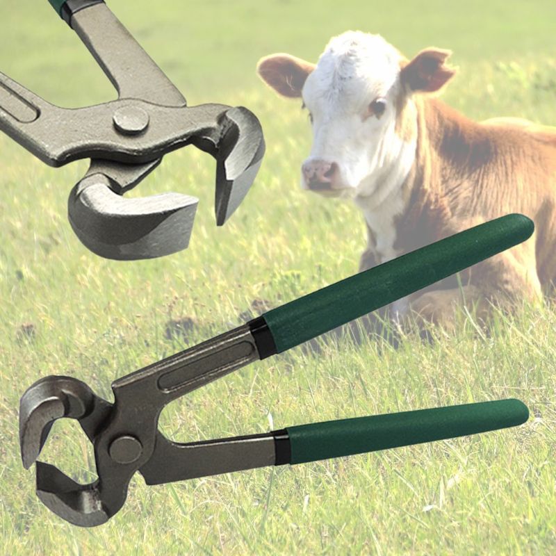 Cattle Horse Cow Hoof Clippers Non-slip Grips Meta... – Grandado