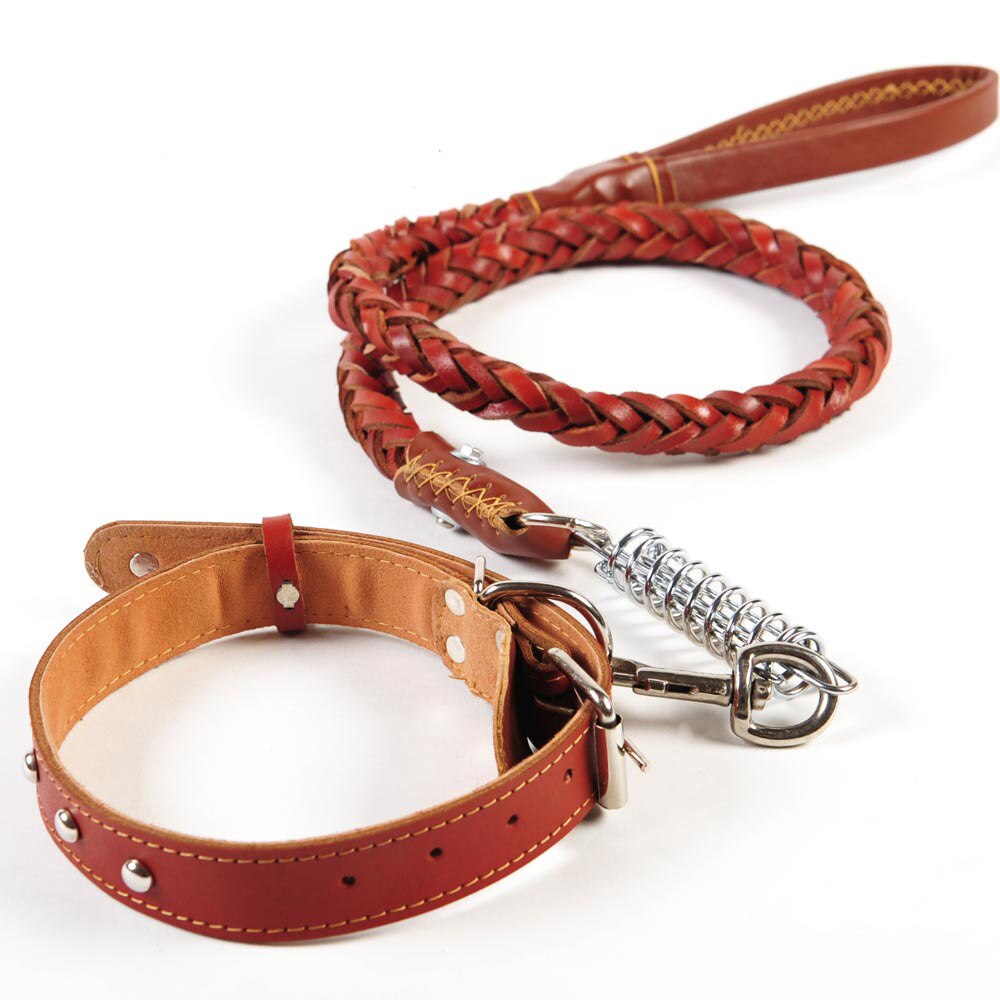 Dog Supplies Leather Weave Buffer Spring Pet Long ... – Grandado
