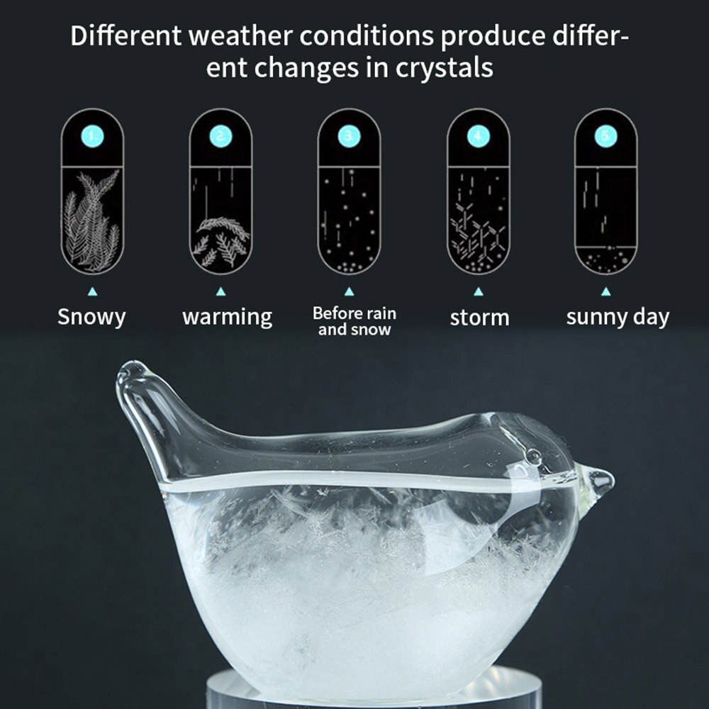 30ml Transparent Droplet Storm Glass Water Weather... – Grandado