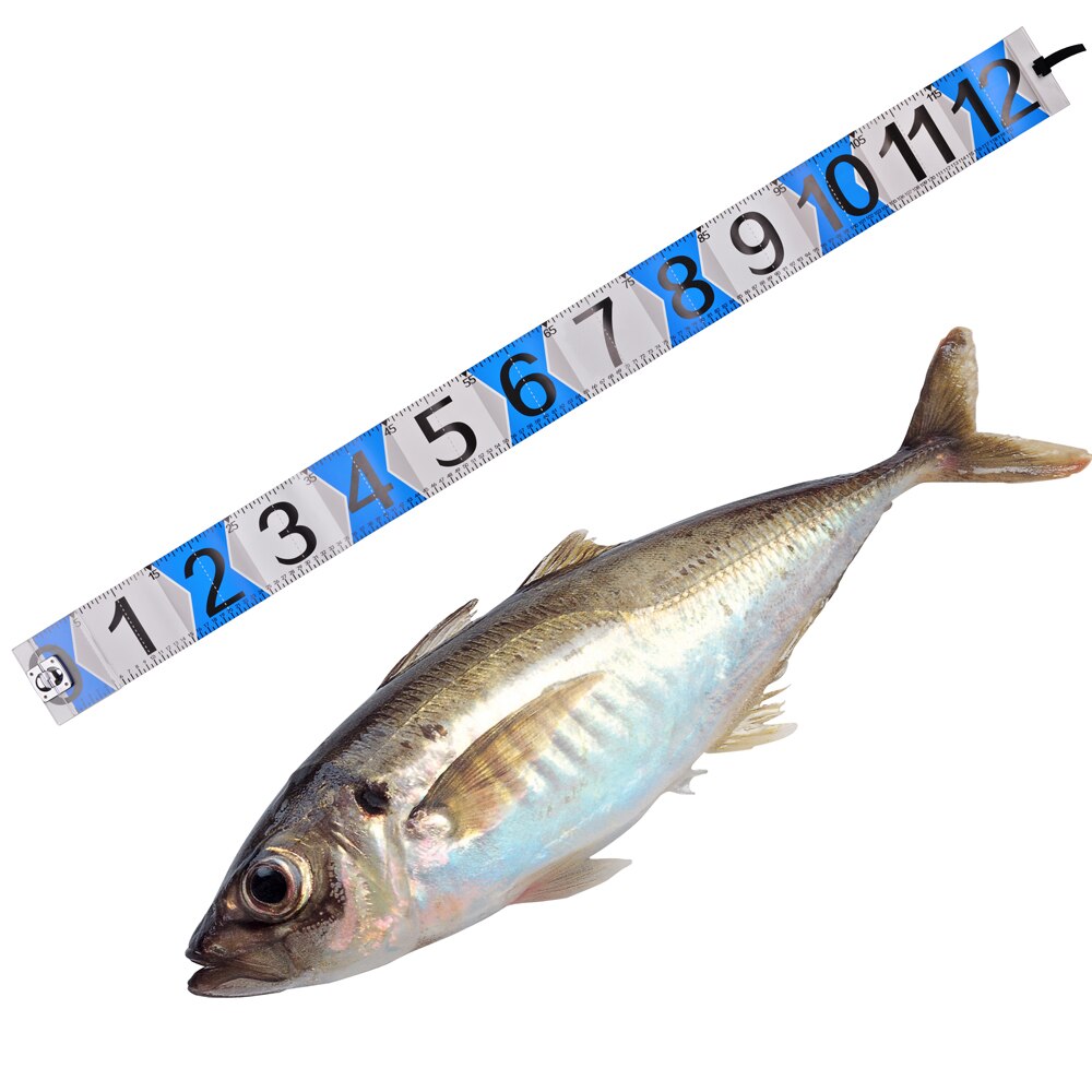 1Pcs/2Pcs Fish Measuring Ruler Foldable Fishing Ru... – Grandado