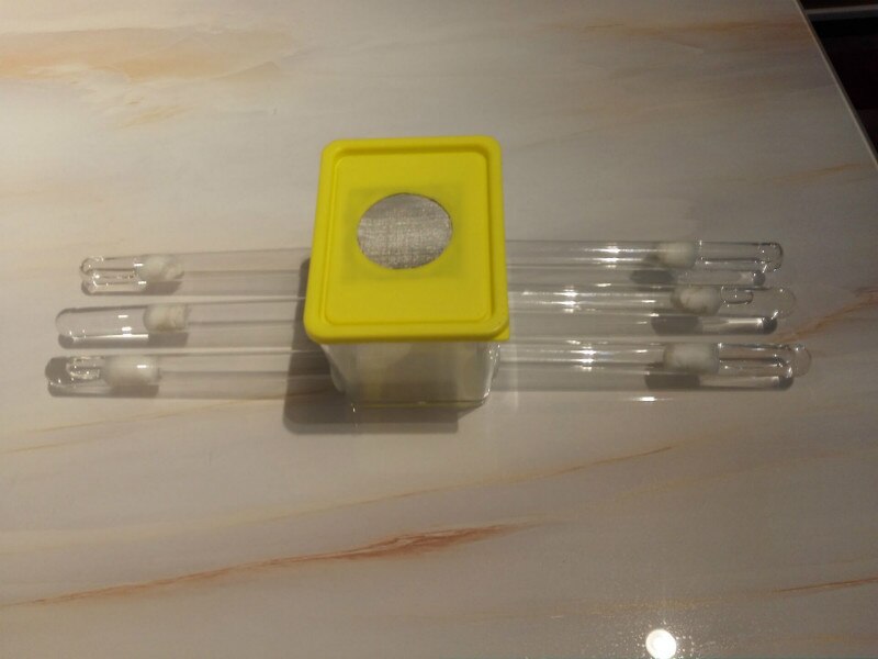 1PCS Ant nest 6 15X150 test tube ants pet test tub... – Vicedeal