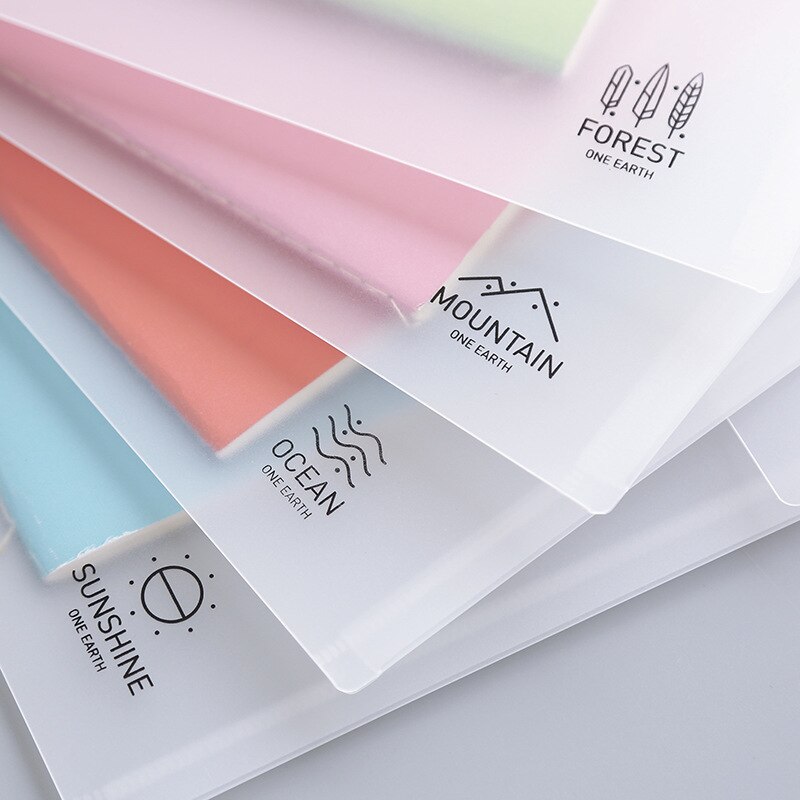 4Pcs PVC Transparent Matte Clasp File Folder A4 St... – Grandado