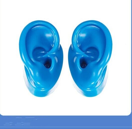 Silicone ear model soft ear model human ear model ... – Grandado