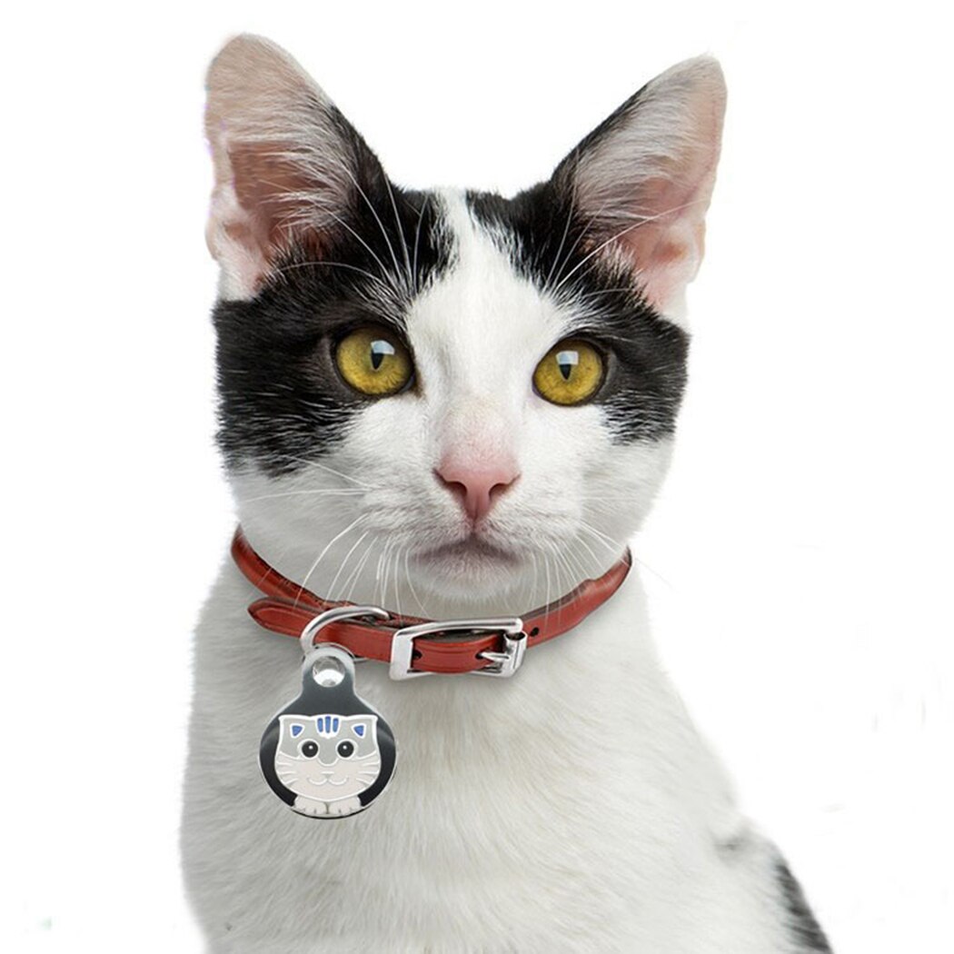 Metal Pet Tag Enameled Cat Engravable Puppy ID Tag... – Grandado
